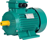 Y/Y2/YE2/MS Series - 3 Phase Electric Motor - LANDTOP